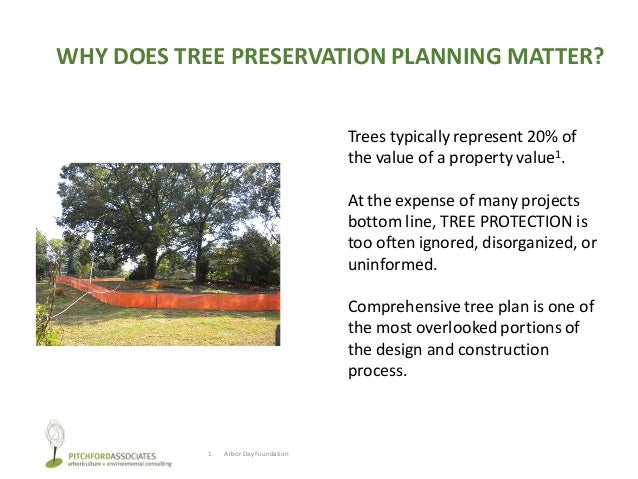 Guide to Effective Tree Preservation Planning