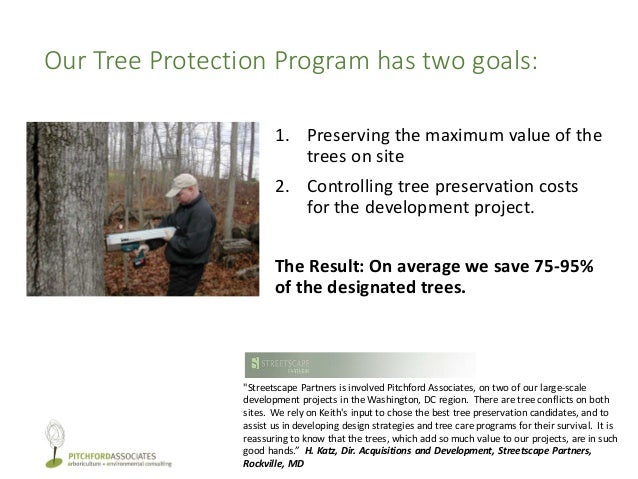 Guide to Effective Tree Preservation Planning
