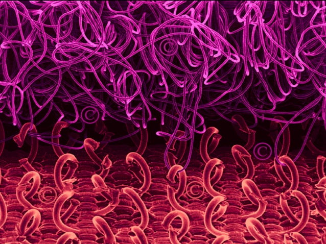 Pitching Ideas, Closing Deals And Negotiation Skills | PPT