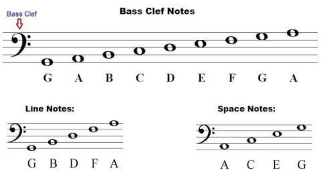MUSIC: Pitch names Grade 4 (G clef and F clef) | PPTX