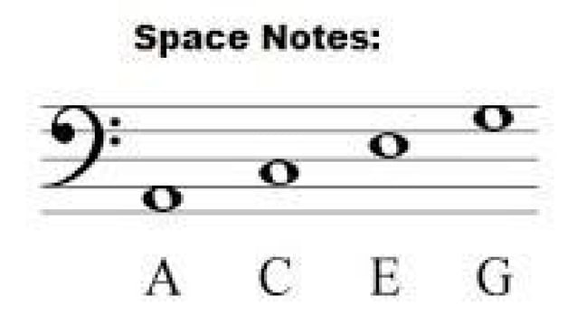 MUSIC: Pitch names Grade 4 (G clef and F clef) | PPTX