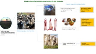 PRESENTATION_PITCH_FLOCK_TO_FORK___.pptx