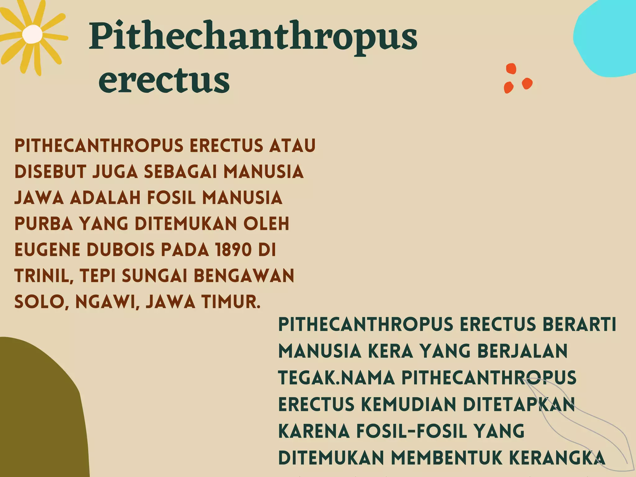 Pithechanthropus erectus.pdf