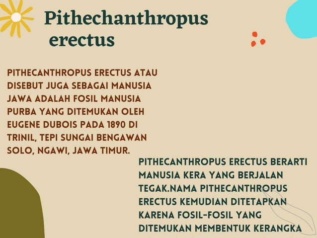 Pithechanthropus erectus.pdf