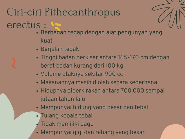 Pithechanthropus erectus.pdf