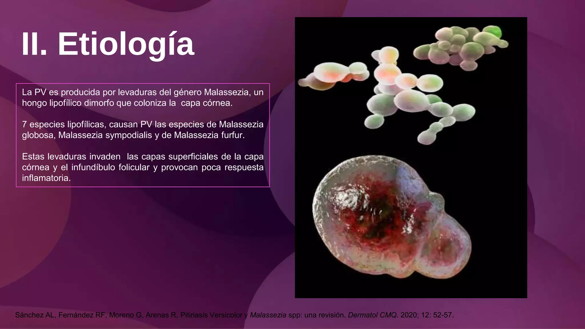 PITIRIASIS VERSICOLOR Y CANDIDIASIS.pptx