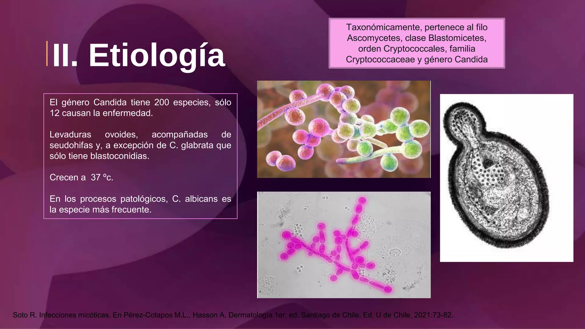 PITIRIASIS VERSICOLOR Y CANDIDIASIS.pptx
