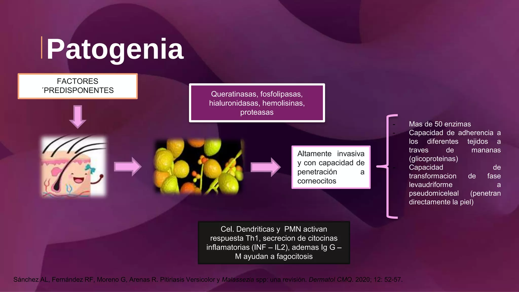 PITIRIASIS VERSICOLOR Y CANDIDIASIS.pptx