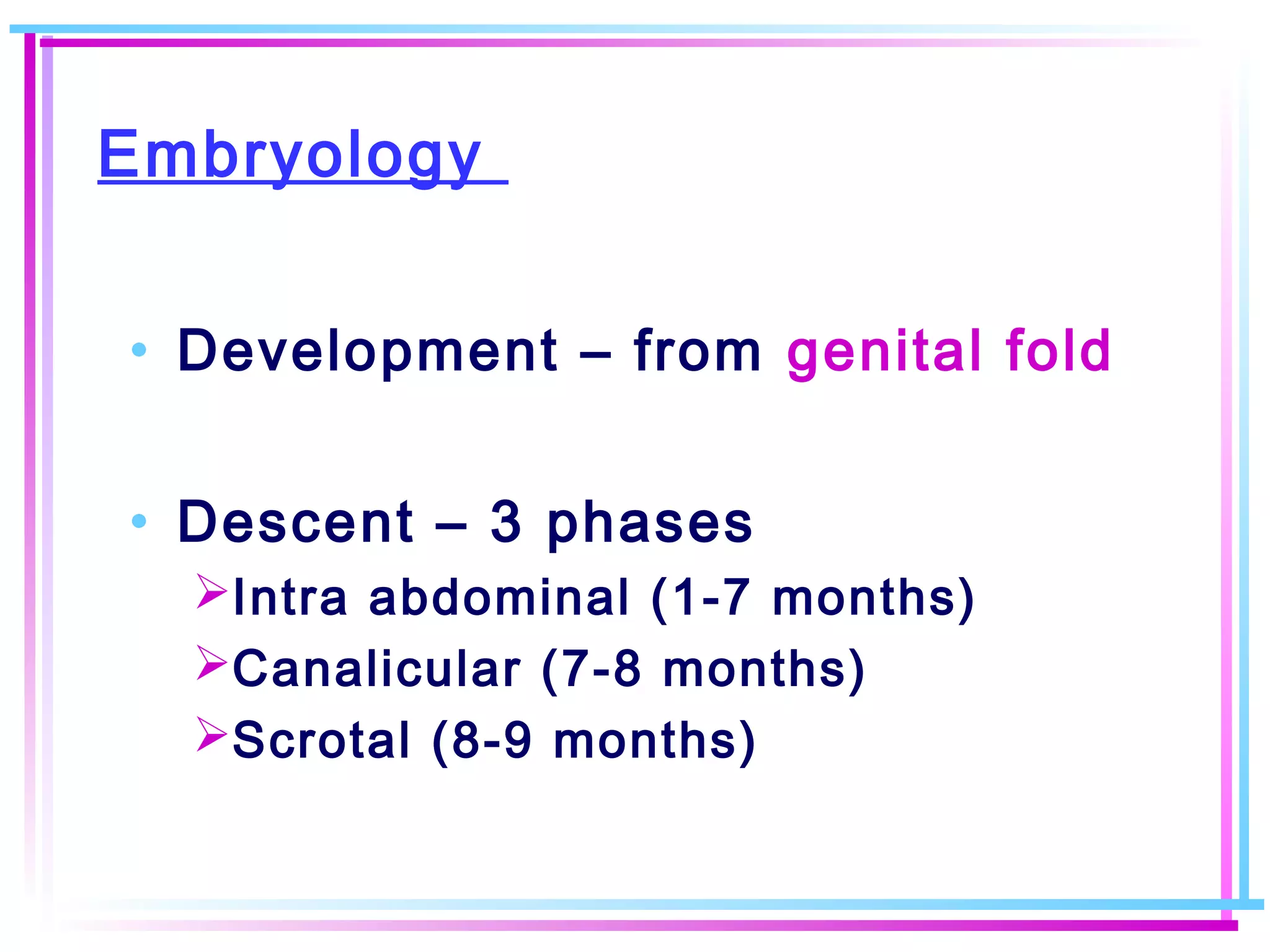 undescended testis | PPT