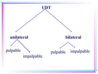 undescended testis | PPT