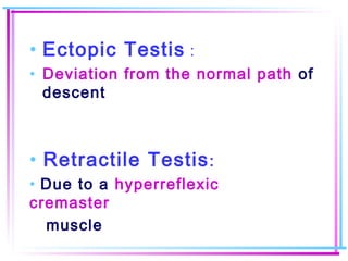 undescended testis | PPT