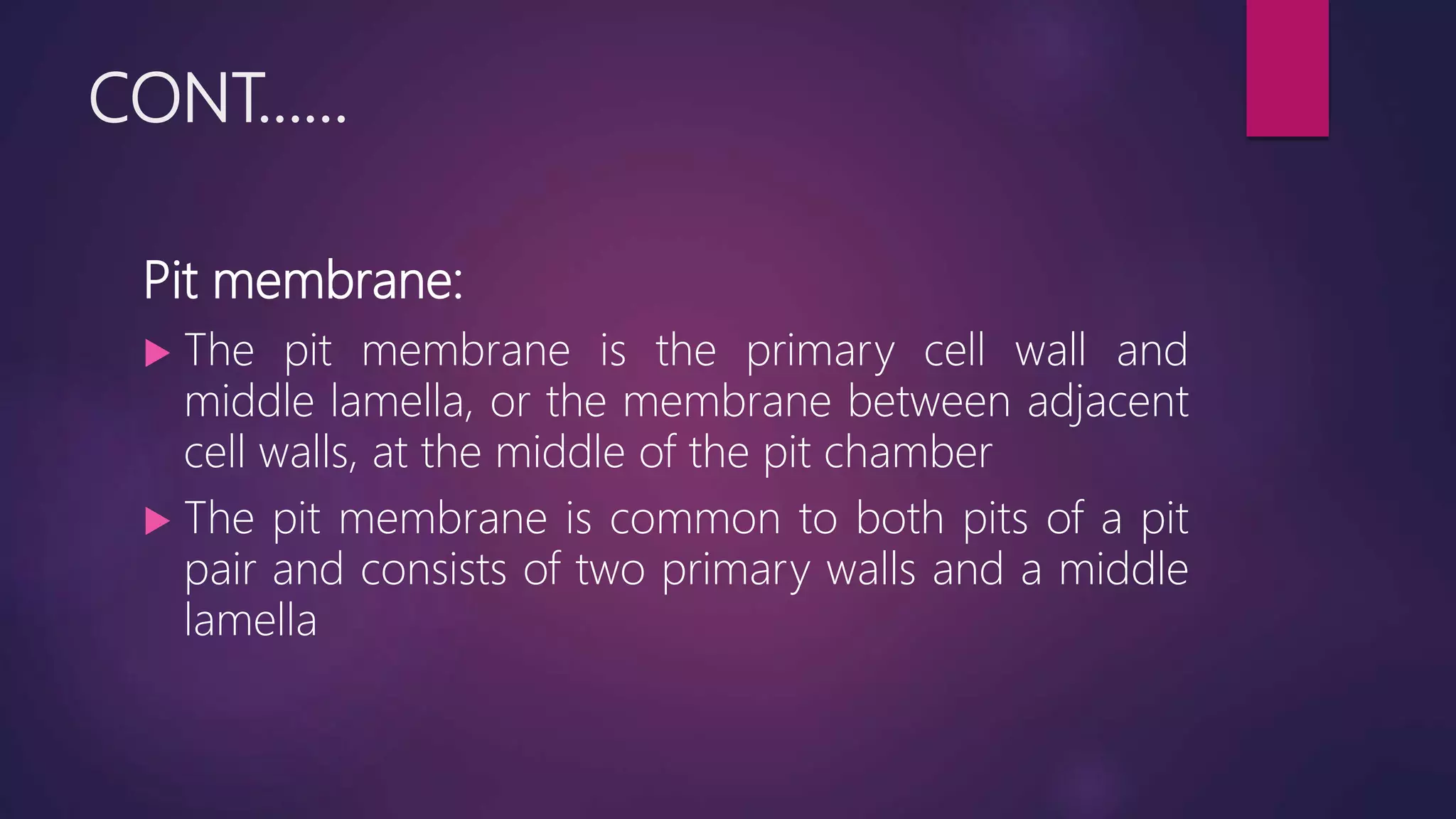 Pits and its types by Sohail | PPTX