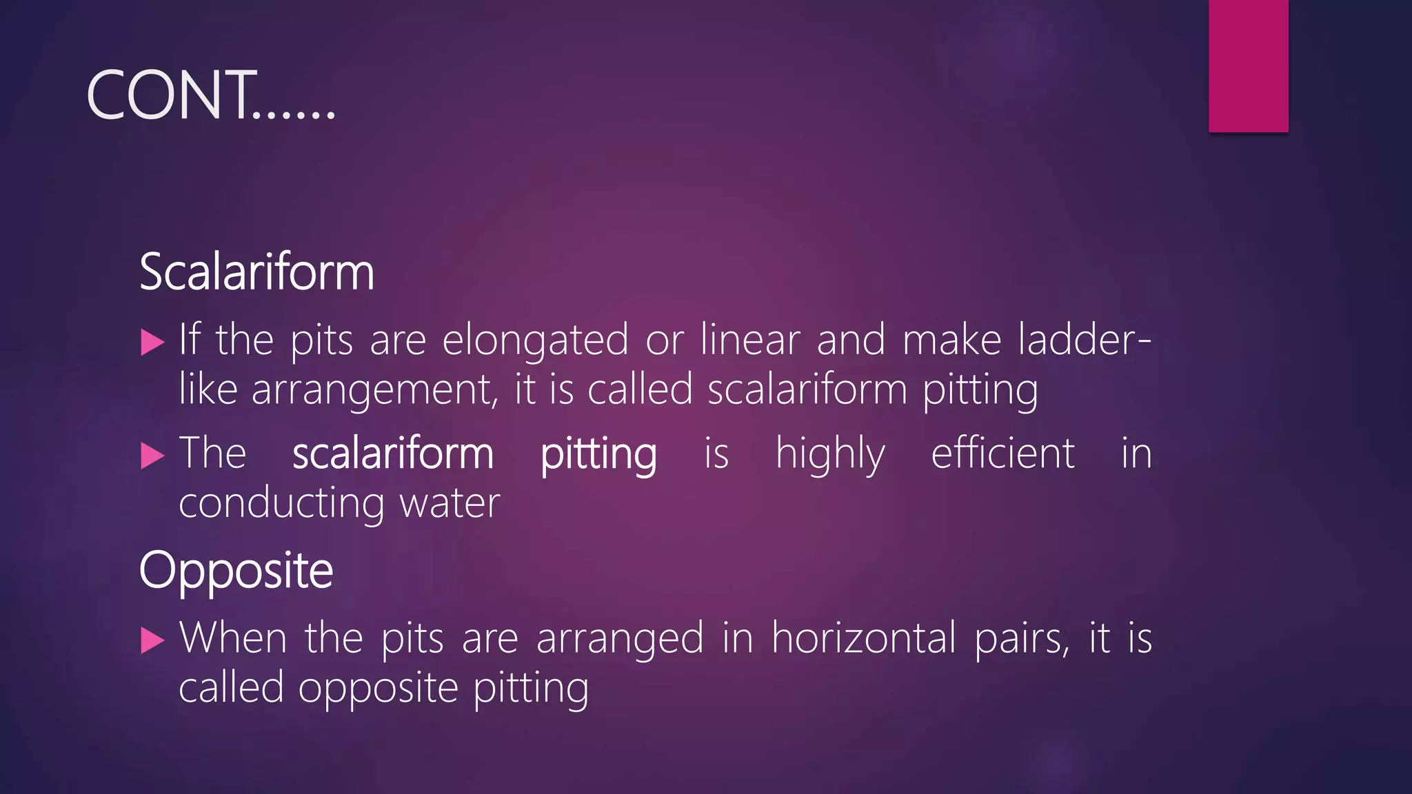 Pits and its types by Sohail | PPTX
