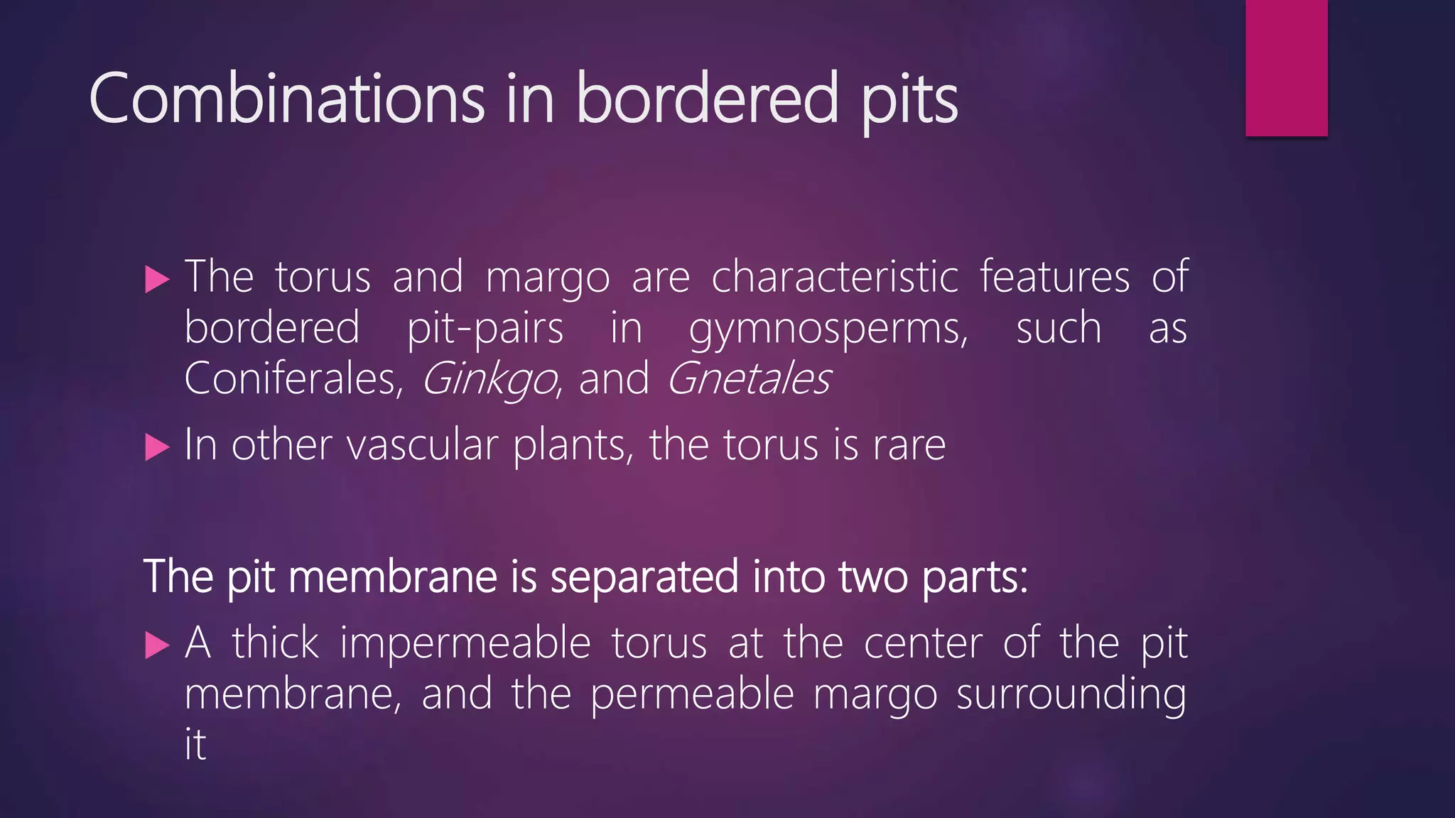 Pits and its types by Sohail | PPTX