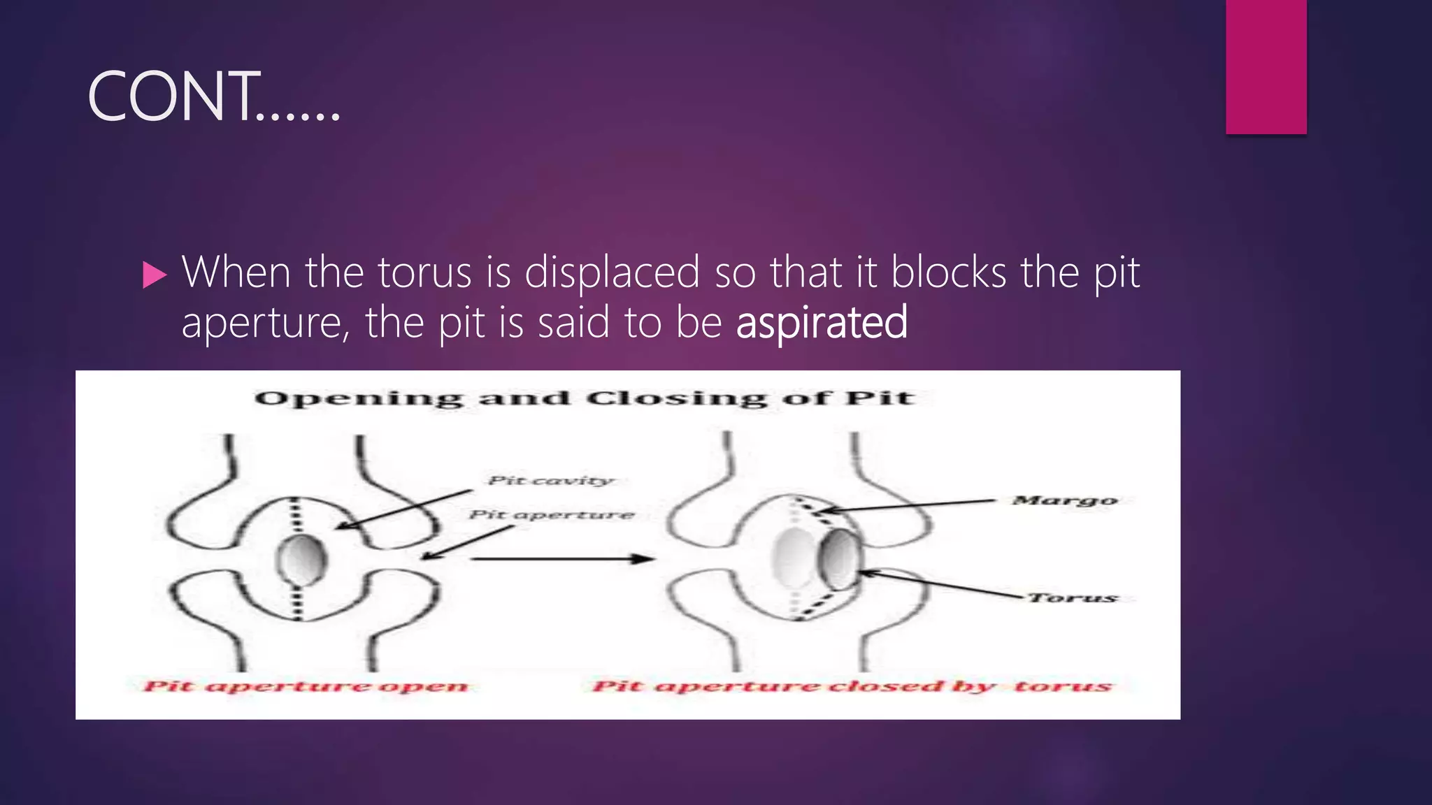 Pits and its types by Sohail | PPTX