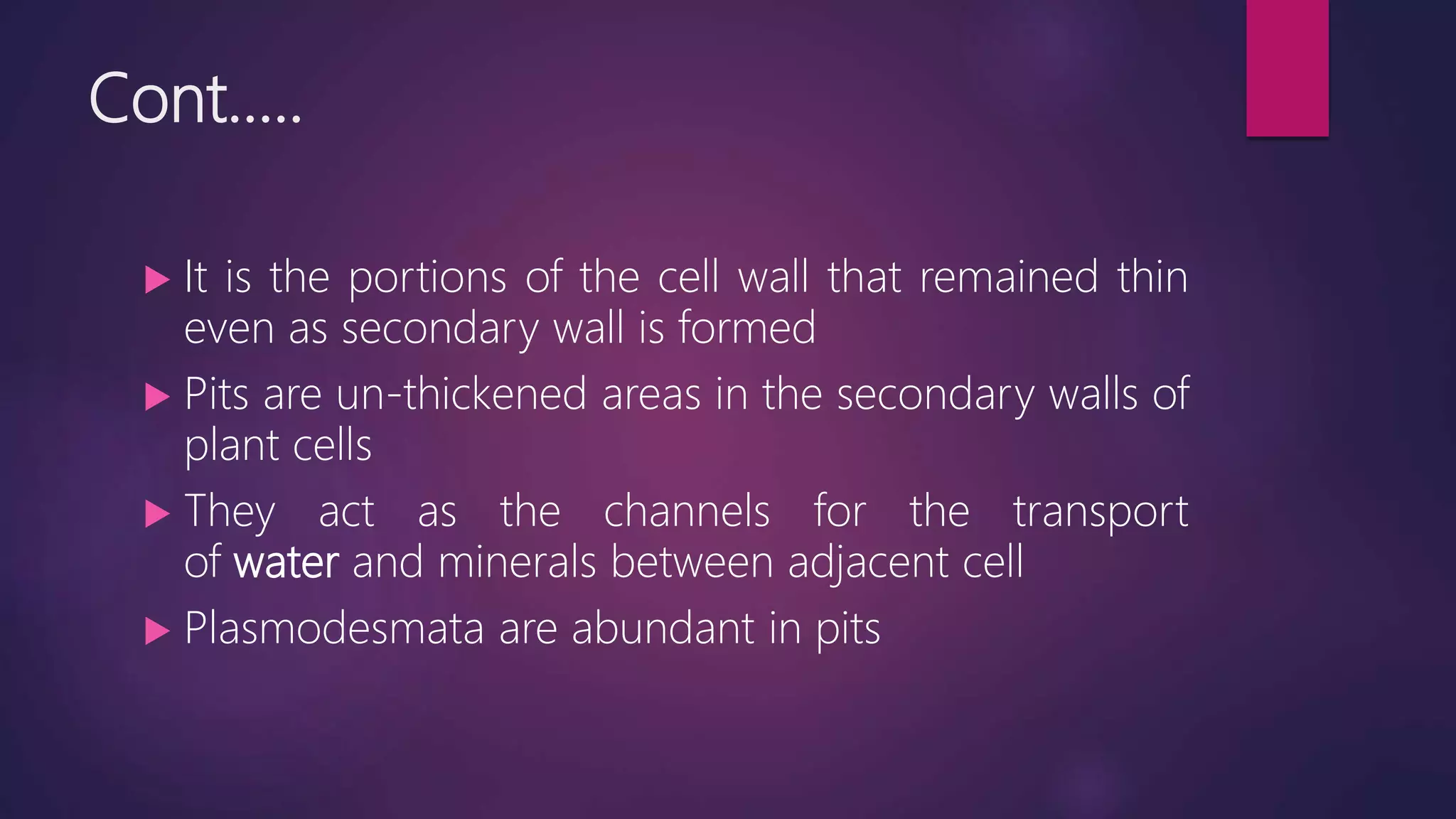 Pits and its types by Sohail | PPTX