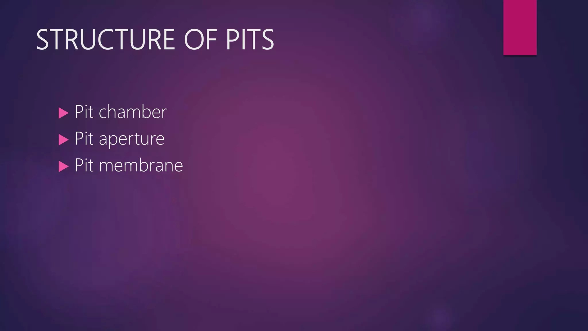 Pits and its types by Sohail | PPTX