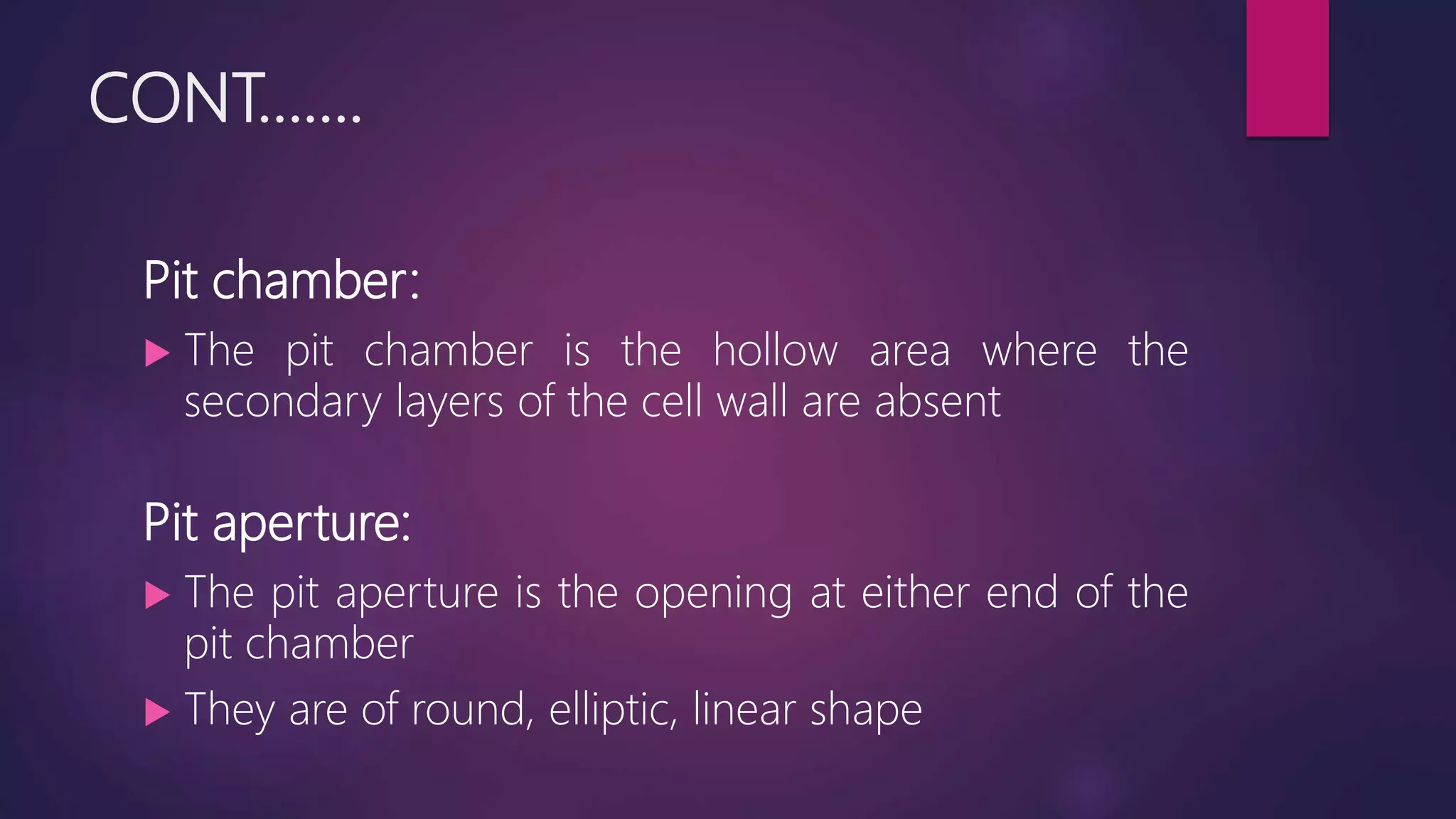 Pits and its types by Sohail | PPTX