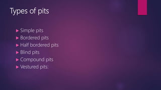 Pits and its types by Sohail | PPTX