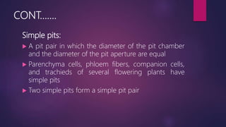 Pits and its types by Sohail | PPTX