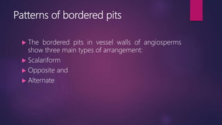 Pits and its types by Sohail | PPTX