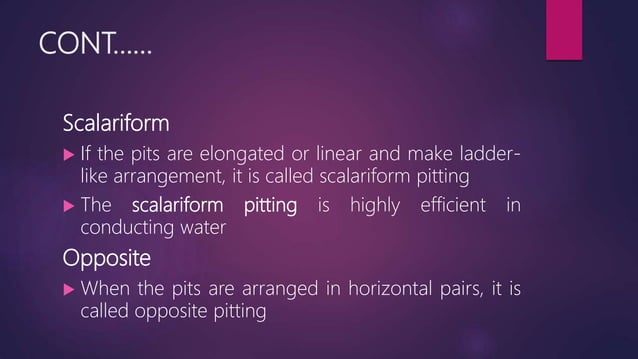 Pits and its types by Sohail | PPTX | Gardening | Home & Garden