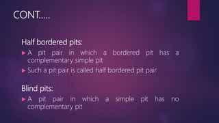 Pits and its types by Sohail | PPTX