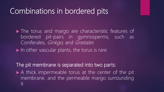 Pits and its types by Sohail | PPTX