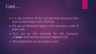 Pits and its types by Sohail | PPTX