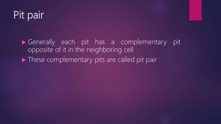 Pits and its types by Sohail | PPTX