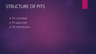 Pits and its types by Sohail | PPTX