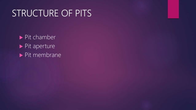 Pits and its types by Sohail | PPTX | Gardening | Home & Garden