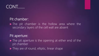 Pits and its types by Sohail | PPTX