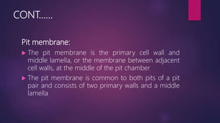 Pit presentation by sohail | PPT