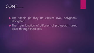 Pit presentation by sohail | PPT