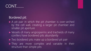 Pit presentation by sohail | PPT