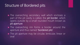 Pit presentation by sohail | PPT