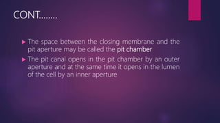 Pit presentation by sohail | PPT