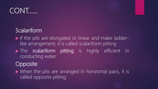 Pit presentation by sohail | PPT