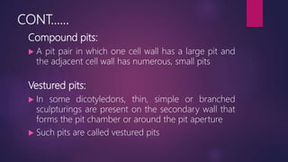 Pit presentation by sohail | PPT