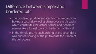 Pit presentation by sohail | PPT
