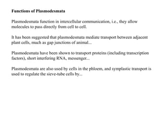 PITS AND PLASMODESMATA.pptx