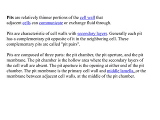PITS AND PLASMODESMATA.pptx