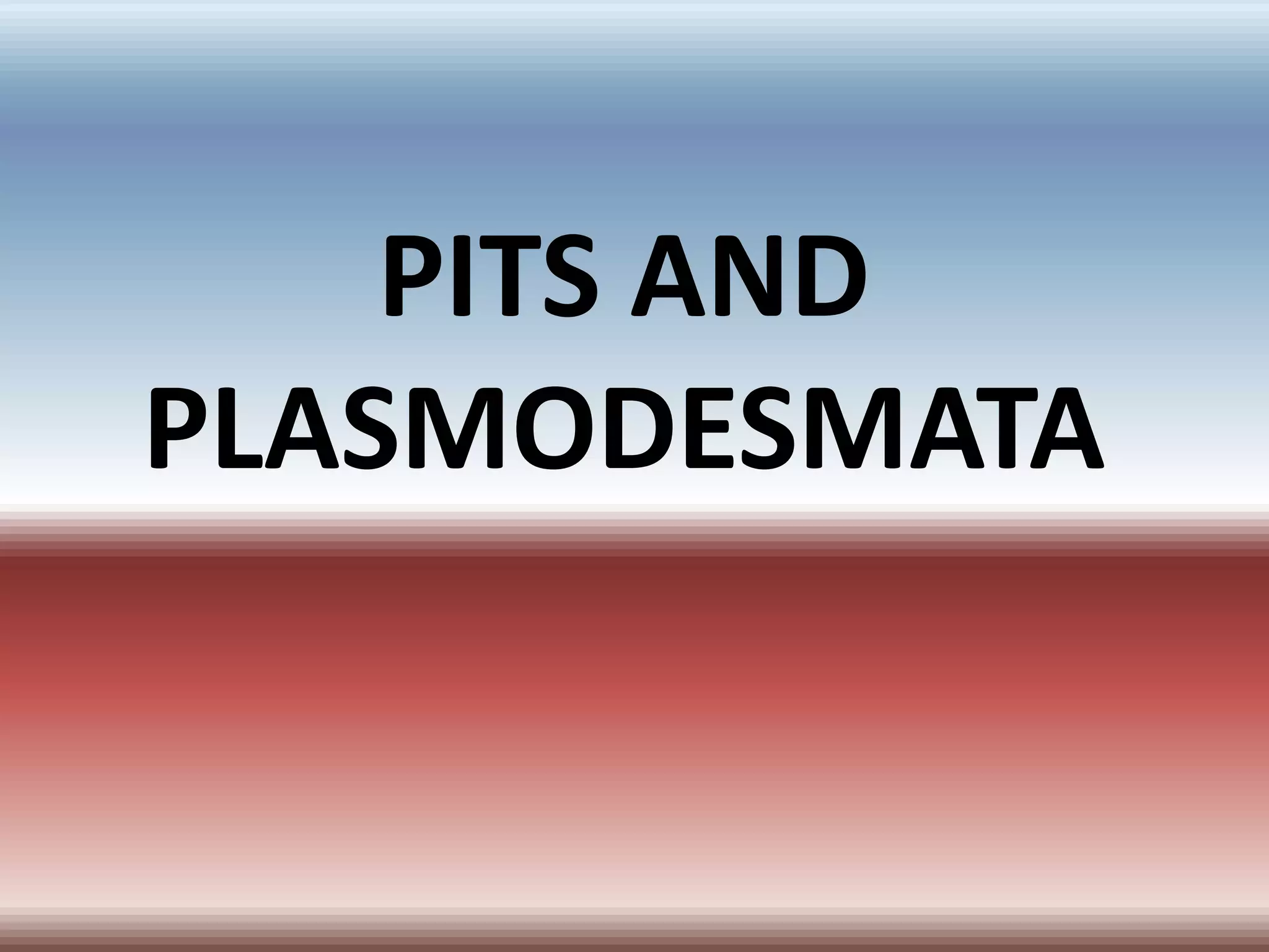 Pits & plasmodesmata | PPTX