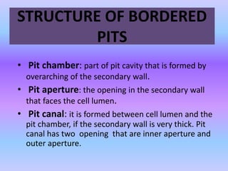 Pits & plasmodesmata | PPTX
