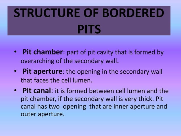 Pits & plasmodesmata | PPTX