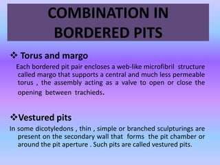 Pits & plasmodesmata | PPTX