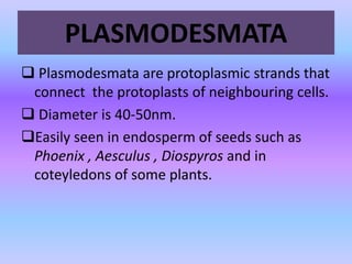 Pits & plasmodesmata | PPTX