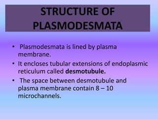 Pits & plasmodesmata | PPTX