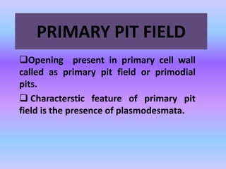 Pits & plasmodesmata | PPTX